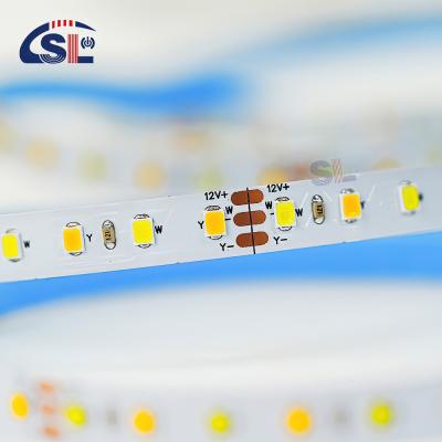 China Customized CCT 12V24V 8mm 120leds 3000K-6500K Warm White-White SMD2835 Led Strip Light for sale