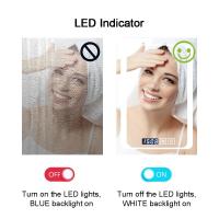 China Smart Led Hotel Dimmer With-defogger Bagen Bathroom Touch Sensor Switch For Mirror Easy for sale