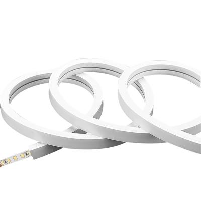 China Neon Lights Item Type Auto CAD Layout Lighting Solutions for Waterproof LED Neon Tube for sale