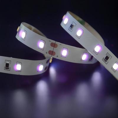 China 3- 10m 12V DC 60LED/M Flexible RGB LED Strip Light for TV Backlighting Illumination for sale