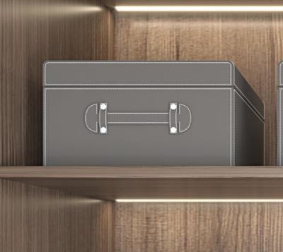 China Lightweight Sturdy Wardrobe Organizer Storage Boxes Multi Purpose for sale