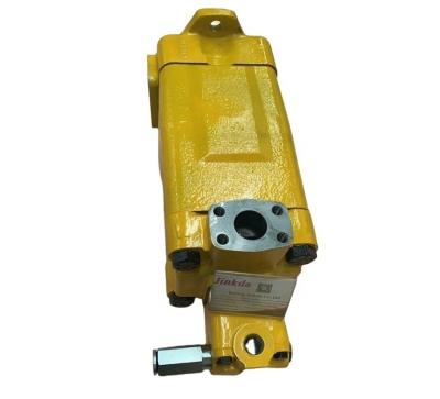 China Loader Vane Pump 6E6666 for Loader 966F  966F-II for sale