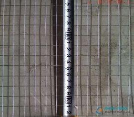 China Plaster Welded Wire Mesh, 1/2