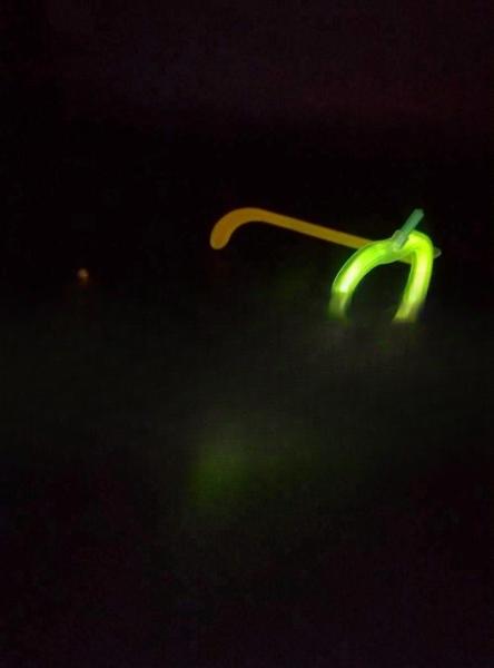 Quality Novelty Light Up Apple Shape Glow Stick with Non-toxic PE Fluorescent Liquid for sale
