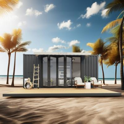China Log 20ft Eco-vriendelijk Flat Pack Container House Prefabricated Duurzame constructie Stalen structuur Veerkrachtig Regen Wind Sneeuwwinkel Te koop