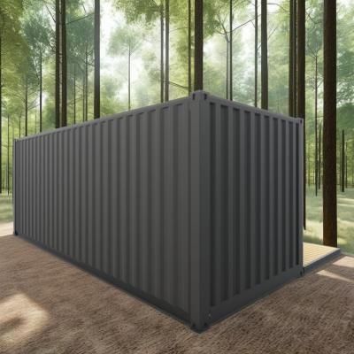 China Log 20ft Eco-vriendelijk Flat Pack Container House Prefabricated Duurzame constructie Stalen structuur Veerkrachtig Regen Wind Sneeuwwinkel Te koop