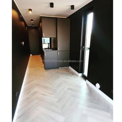 Cina Leggio di alluminio Finestre 40ft Contenitore Ristrutturazione per la famiglia in giardino camera da letto residenziale soggiorno bagno in vendita