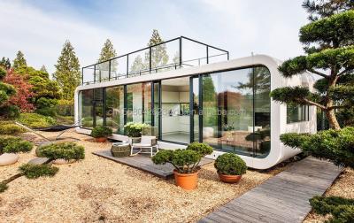 China Modern 20ft 40ft Prefab Huis Outdoor Tiny Pod Koffiehuis Mobile Working Apple Cabin-Populair Prefab Cabin Appartement Appartement Te koop