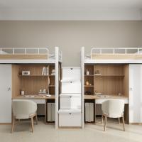 China Customizable Bunk Bed with Ladder, Wardrobe & Study Desk - 4600x900x2100mm Dormitory Furniture for sale