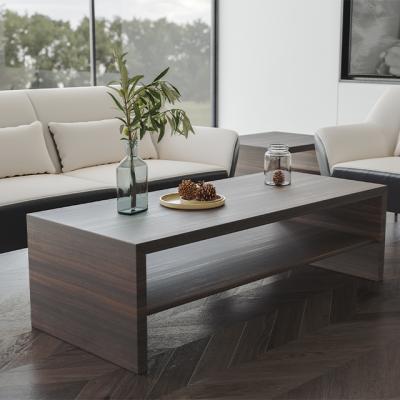 China Small Coffee Table With Two Layers Of Storage, Living Room, Office, Side Table, Exit, Coffee Table for sale