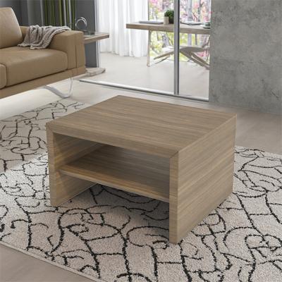 China Small Coffee Table With Two Layers Of Storage, Living Room, Office, Side Table, Exit, Coffee Table for sale
