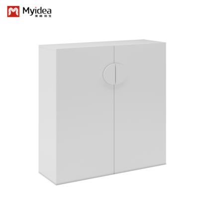 China Foshan Factory File Cabinet Staff Office Storage Cabinet File Storage Low Cabinet for sale