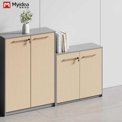 China Unique File Cabinet Office Foshan Factory Direct Supply Lock the Cabinet with a Key for sale