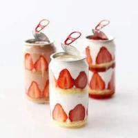 China Easy Open End 52mm Neck Plastic Soda Cans With EOE 250ml for sale