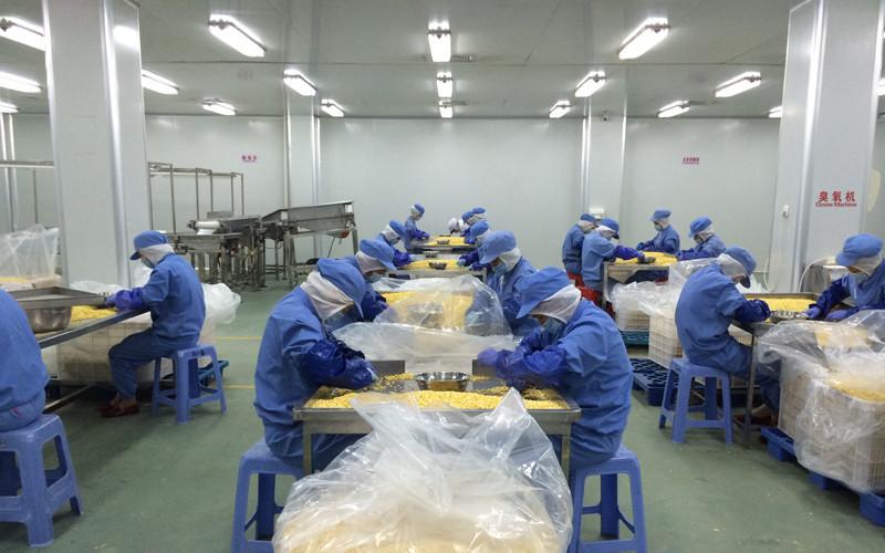 Fornitore cinese verificato - Xiamen Delicacy Trade Co., Ltd
