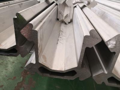 Cina Profili espelsi di alluminio del FASCIO dell'ALIMENTAZIONE BMH6000 di Rig Use 6000MM di perforazione di roccia in vendita