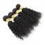 China 8A Indian Water Wave 4 Bundles Human Virgin Hair Weave for sale