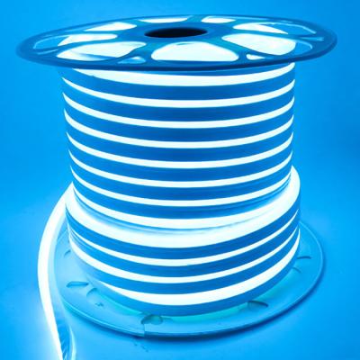 China Flexible Led Neon Light Rgb for Outdoor Waterproof 220v 10*20 Lighting Sign for sale