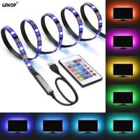 Quality 24 Key Mini Rgb Led Strip Light Set 5v Usb Dimmable Led Ambient Light for sale