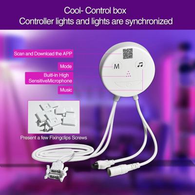 China Bluetooth Music Led Rgb Light With Fixed Buckle 12v Rgb Belt Light Set for sale