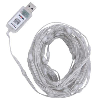 China Smart Addressable Rgb Light String With Music/Timing/Bluetooth Functions For Christmas Decoration for sale
