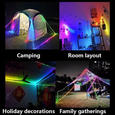 China Smart Addressable Rgb Light String With Music/Timing/Bluetooth Functions For Christmas Decoration for sale
