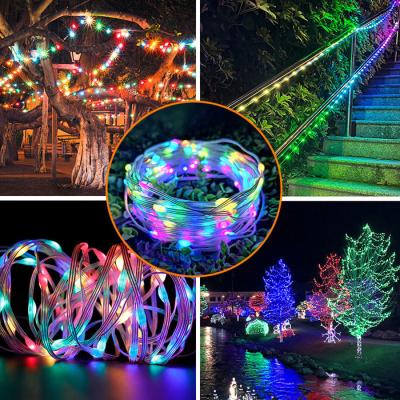 China Smart Addressable Rgb Light String With Music/Timing/Bluetooth Functions For Christmas Decoration for sale