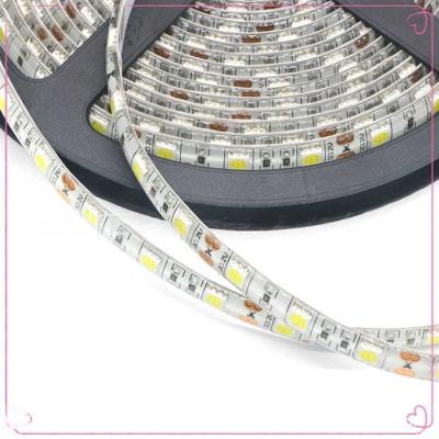 China 5050 Dimmable Single Color White Warm White Light LED Flexible Light Strip with Lifespan 50000 Hours for sale