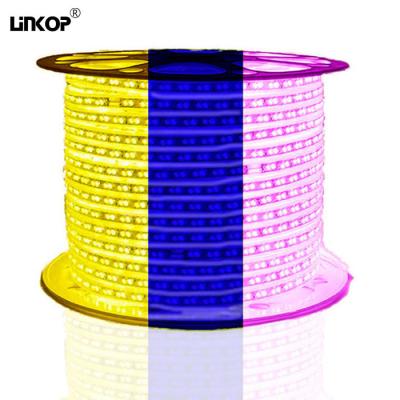 China High Brightness Ip68-Rated Dual-Color Light Strip To Meet Your Business Needs à venda