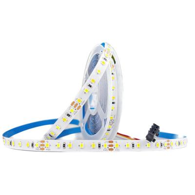 China Indoor Flexible Led Light Strip 12v Drip Waterdicht Ip65 Cct Dual Color Temperature Lineair Light Te koop
