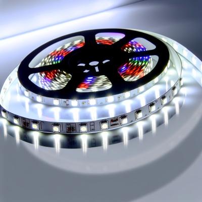 Cina Crea senza sforzo l'atmosfera perfetta con luci a strisce a LED a cambio colore a 5 m/roll in vendita