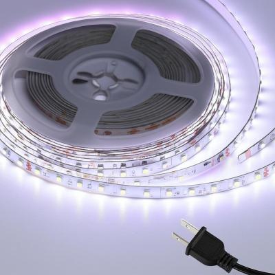 China Customizable Cct 3000K/4000K/6000K LED Strip Lights for US Socket Type and DC12V Power Input for sale