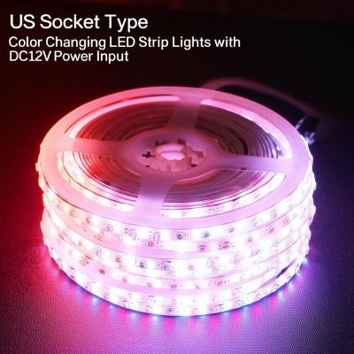 China US Socket Type Color Changing LED Strip Lights with DC12V Power Input for sale