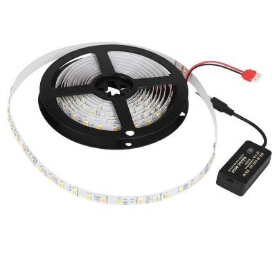 China Flexible Ribbon Battery Powered LED Strip Light with 5V Working Voltage for sale