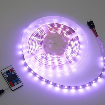 China 12V Voltage Battery Powered LED Strip Light with Remote Control and Switch Mode for sale