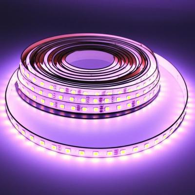 China Effortlessly Install High Voltage LED Strip Light Lightweight and Create Different Atmospheres for Any Installation for sale