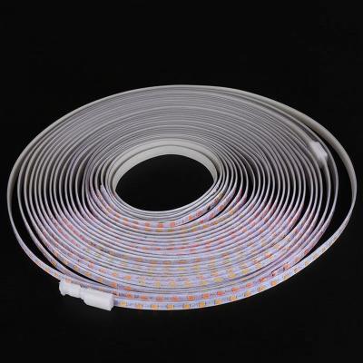 China 5050 Strip Light High Voltage LED Strip Light for Indoor and Outdoor Illumination Requirements for sale