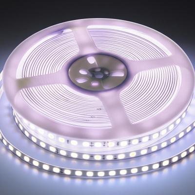 China 30 Years Lifespan LED Strip Lights with Dimming Capability and PVC Lamp Body Material for sale