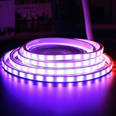 China PVC Lamp Body Material Color Changing LED Strip Lights for Both Indoor and Outdoor Settings for sale