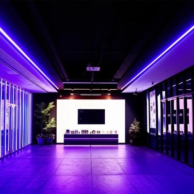 China Color Options Lightweight LED Strip Lights for Versatile Atmosphere Creation in Commercial Settings for sale