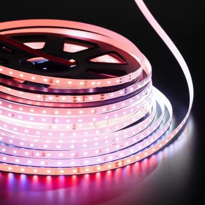 China LED Strip Lights The Ultimate Solution for Your Business Needs for sale