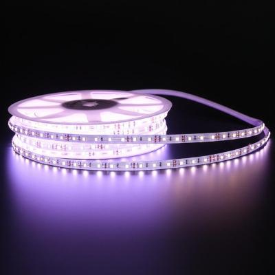 China High Voltage LED Strip Light The Ideal Choice for Bright and Long-lasting Illumination for sale