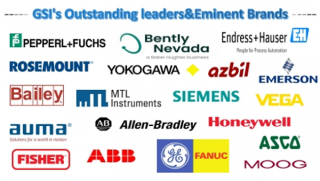 FieldCare SFE500-NECZ101 E&H Instrument Endress Level Transmitter 4