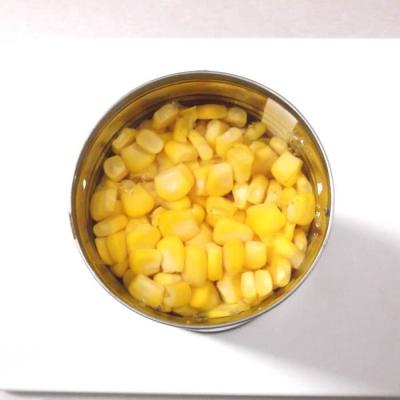 China Factory Price Fresh BOOM SEASON  Canned Vegetable Sweet Corn in Brine N.W.340G.D.W.250G for sale