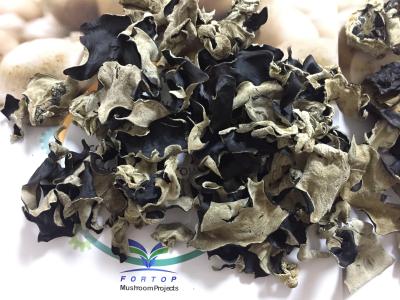 China Factory Price Premium NEW CROP Dried White Back Black Fungus within 5 CM (Auricularia Auricula) for sale