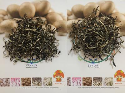 China Factory Price NEW CROP Dried White Back Black Fungus Slices/Dices/Whole for sale