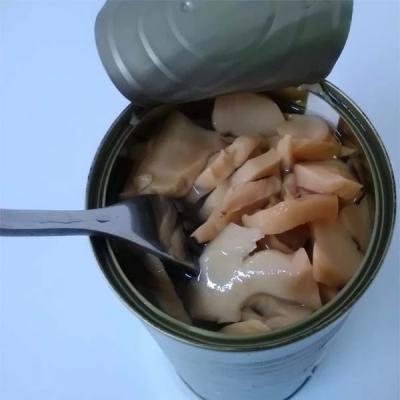 China Factory Price Canned Food Canned King Oyster Mushroom in Brine Net Weight 425G for sale