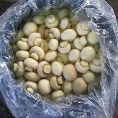 China Factory Price Premiun NEW CROP China Drum Mushroom Whole in Brine (3.5-5.0CM ) for sale