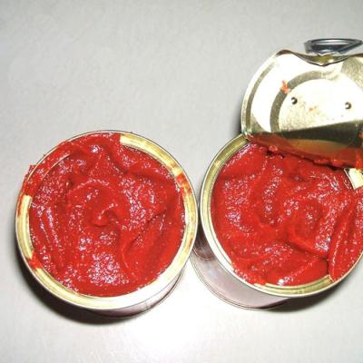 China Factory Price Premium NEW CROP Canned Tomato Paste 70G BRIX 28-30% for sale