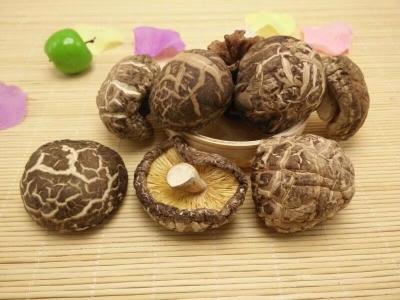 China Factory Price Premium NEW CROP China Tea Flower Dried Mushroom Shiitake Whole in Bulk for sale